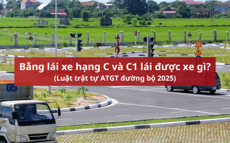 Bằng C và C1 lái được xe gì? Thời hạn và điều kiện thi bằng C và C1 năm 2025 - thitruongxe.net